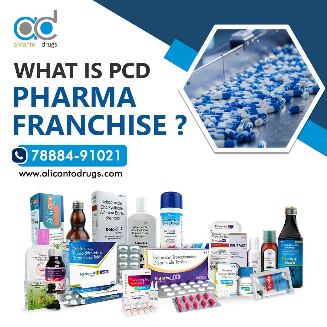 What is PCD Pharma Franchise?